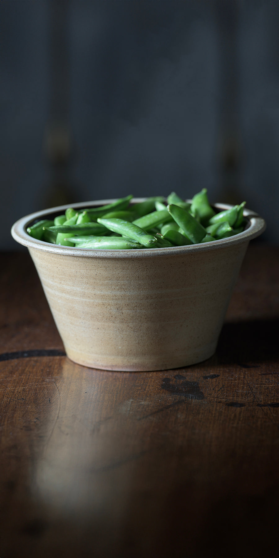 Salt Glazed Pottery - Samson Historical