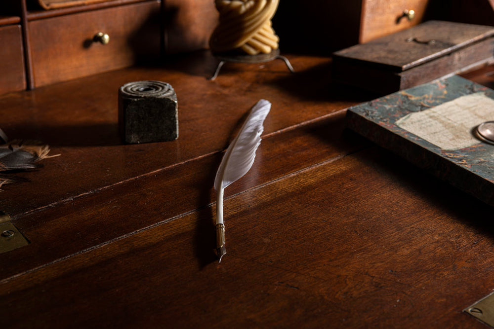 Goose Writing Quill - Samson Historical